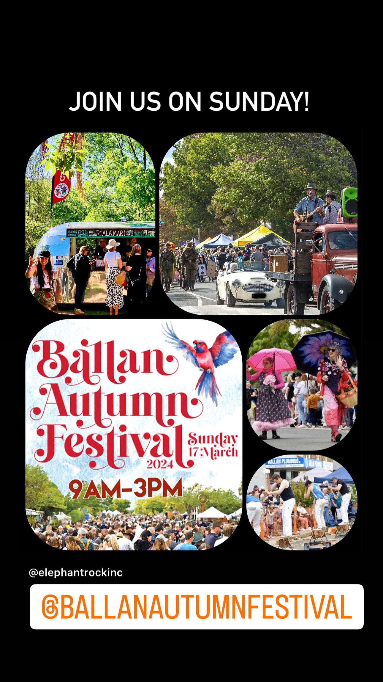 Hanging Rock Craft Market & Ballan Autumn Festival – ELEPHANT ROCK CALAMARI